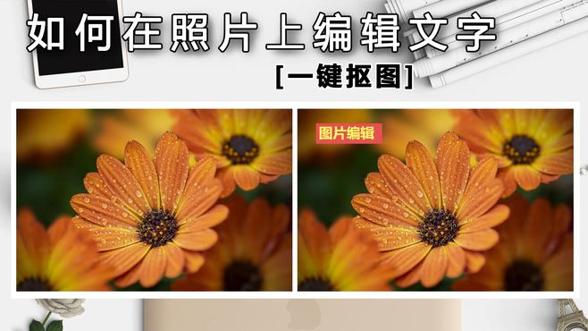 怎么在照片上编辑文字