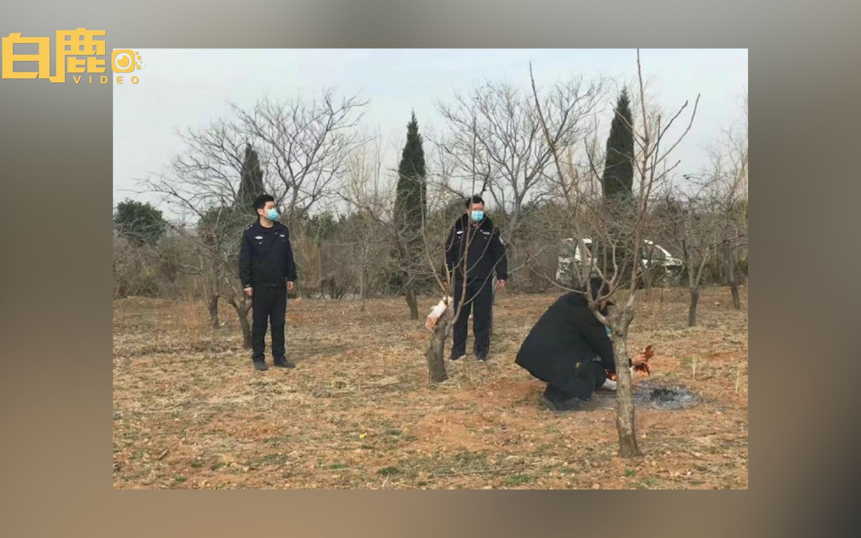 清明将至,警惕!6人祭祖烧纸引森林大火获刑3年