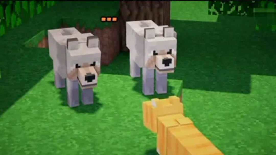 我的世界搞笑动画大合集#17