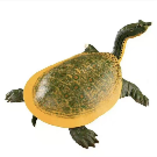 农村户外小哲抓鱼高手