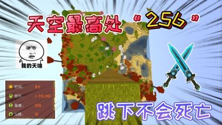 迷你世界:从高空不慎掉落不会“死亡”高度256跳下也没有事