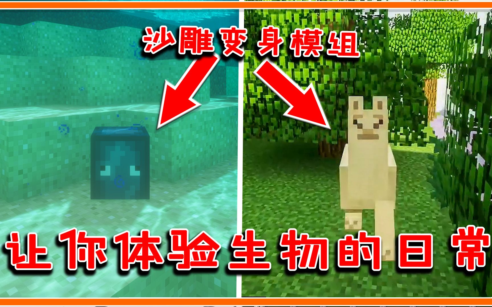 我的世界:超沙雕变身模组!变鱿鱼变羊驼,让你体验生物的日常!