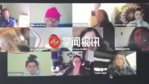 女子在家开视频会议忘关摄像头接下来尴尬一幕发生了