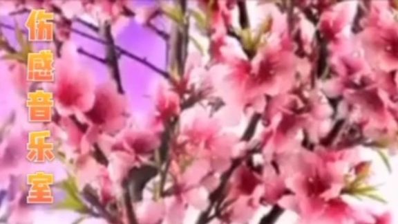 一首好听的伤感歌曲《今生注定为你守候》分享给大家