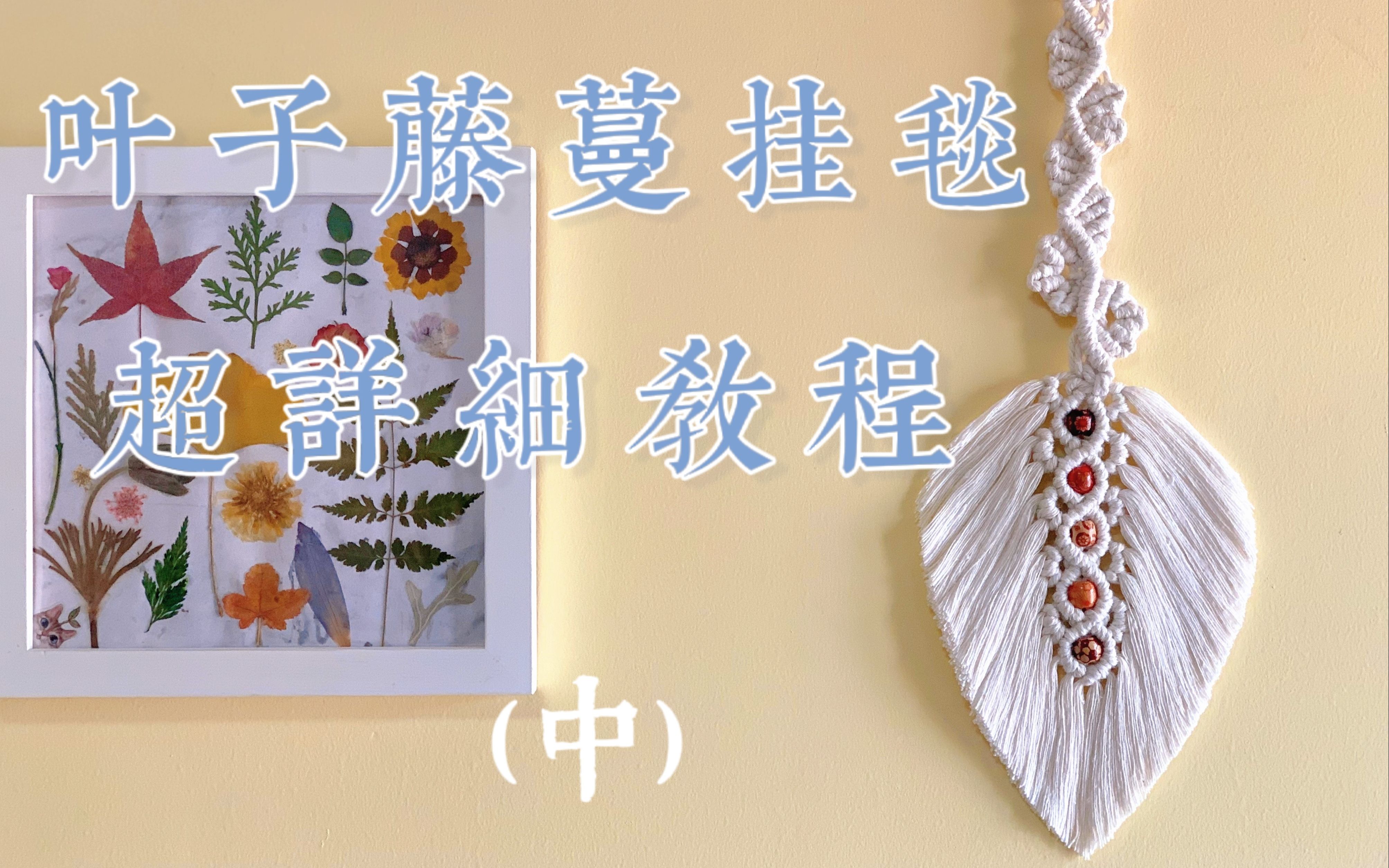 ...一个结搞定北欧风羽毛/叶子藤蔓编织肩带/挂毯超详细教程新手友好(...