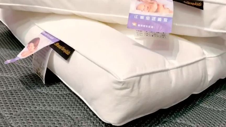 进口抗菌防螨产品系列EVolon儿童防螨枕 成人防螨枕