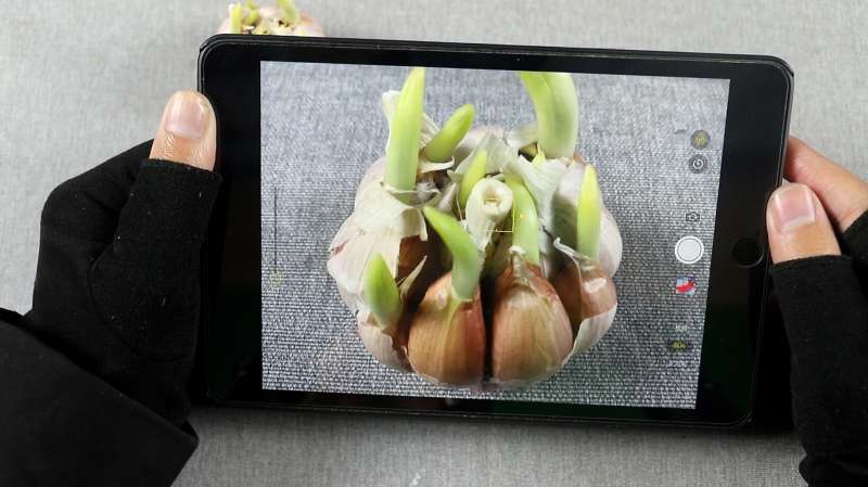 苹果手机中的这4个常用的小功能,不知道你用过几个呢?看看