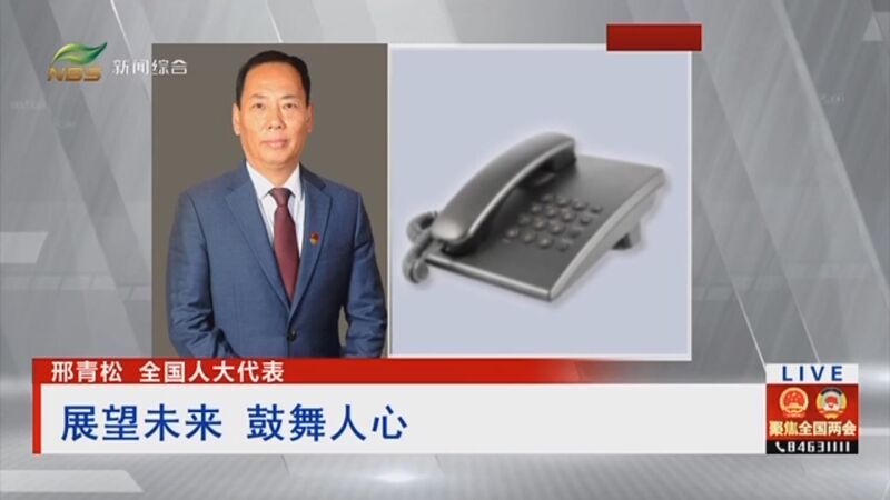 [直播南京]十三届全国人大五次会议在京开幕 代表委员热议政府工作报告