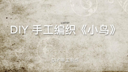 DIY 手工编织《小鸟》