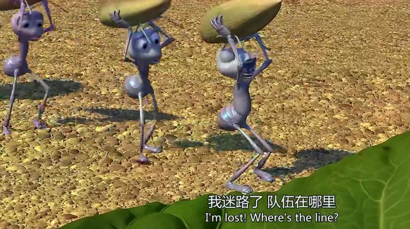 这只小蚂蚁真是搞笑,一片树叶落下来,就惊慌失措的说自己迷路了