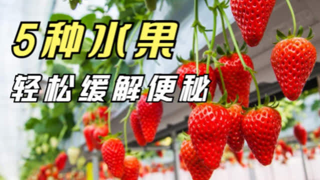 便秘该吃哪些水果?营养师提醒:这5种能润肠通便别错过