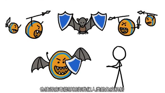 趣味科普动画《蝙蝠是怎样传播病毒的?