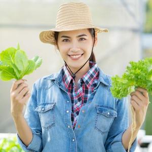 智慧温室 