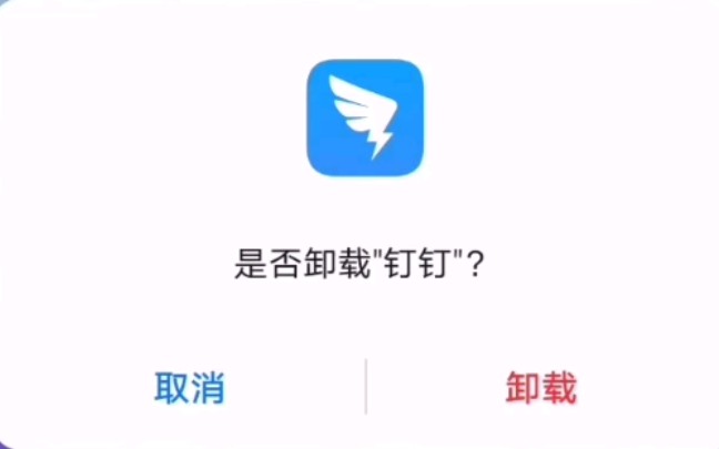 你删掉了你的钉钉!