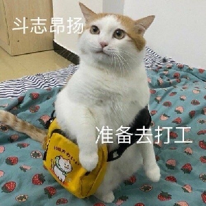 云耳er 