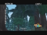 [动画大放映]《熊出没之丛林总动员》 第96集 萝卜头，别打洞了！