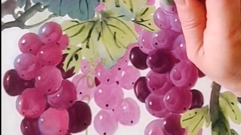 国画写意红葡萄技法,用笔细腻,一笔一画太受用了