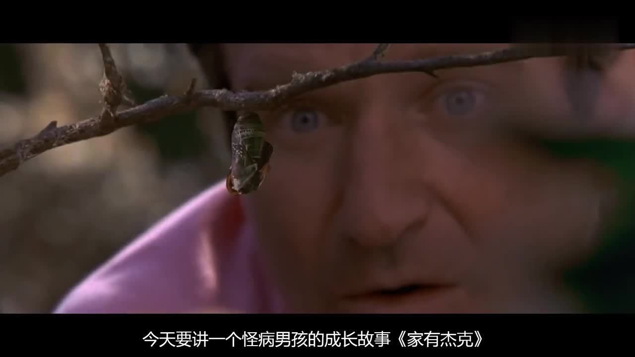 女子怀孕2月生下胎儿,成长速度是常人4倍,刚出生就能走路