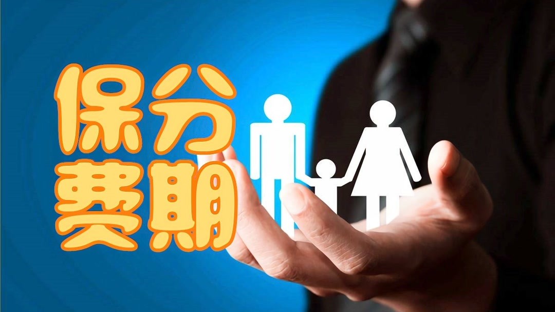 交保费里的门道:是一次性交齐,还是分期付款?哪种更划算?