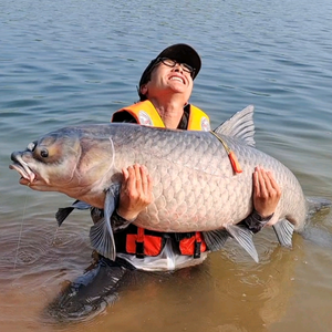 龙飞的渔乐江湖 