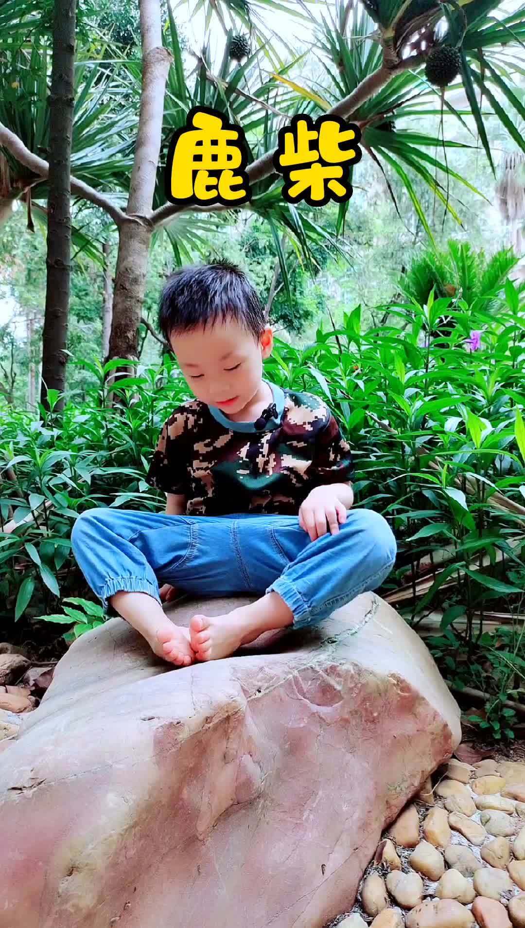 吉吉背古诗《鹿柴》