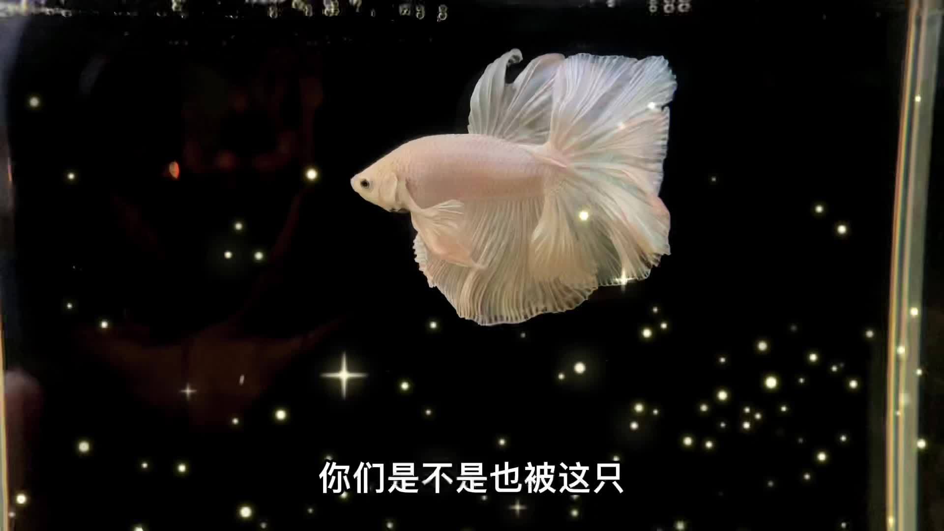 大家可以用这种玻璃石和假珍珠