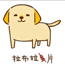 拉不拉片 