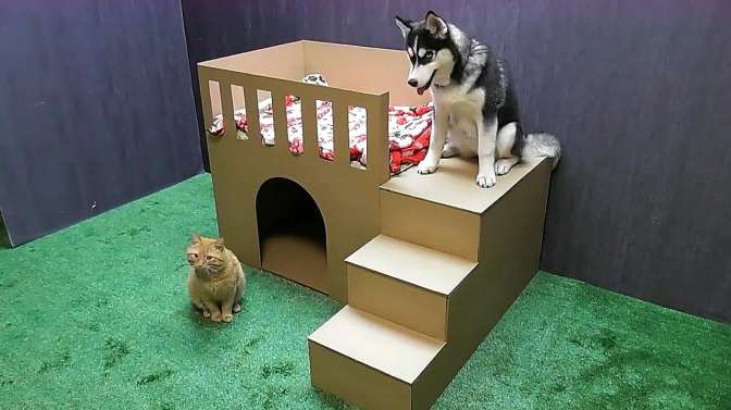 狗窝的制作方法纸箱制作教程:用硬纸板制作狗窝,哈士奇很喜欢