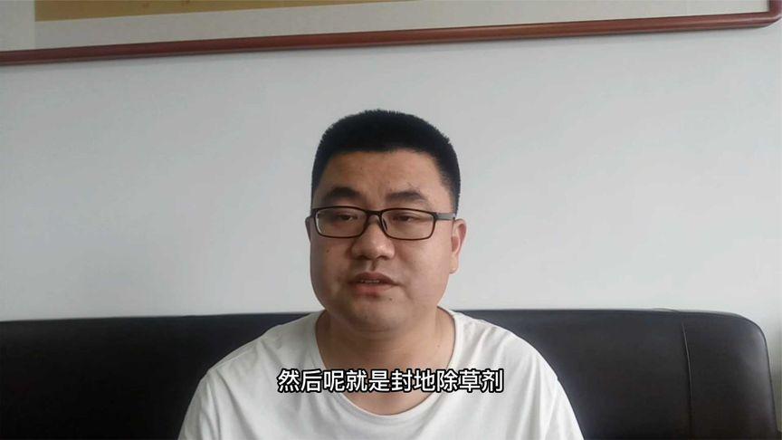 玉米苗期管理任务大,怎么进行管理?这样才能保证产量