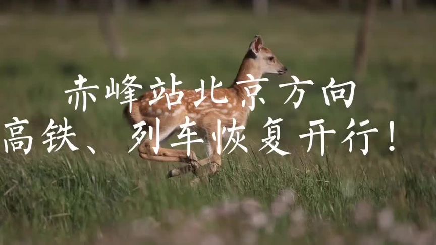 赤峰站北京方向高铁、列车恢复开行!