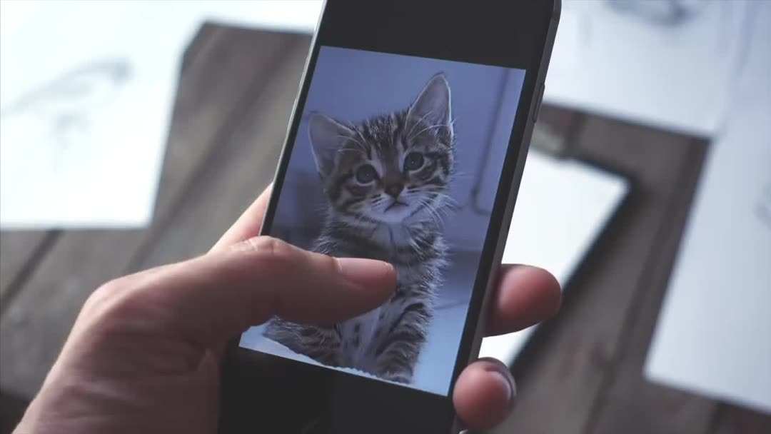 高能黑科技:不会画画的你也可以画素描了