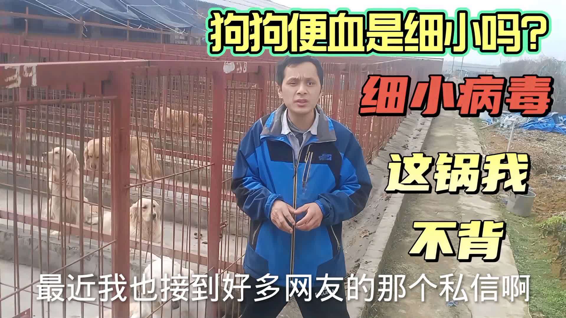 狗狗便血是细小吗?主人害怕一哆嗦!细小病毒:.