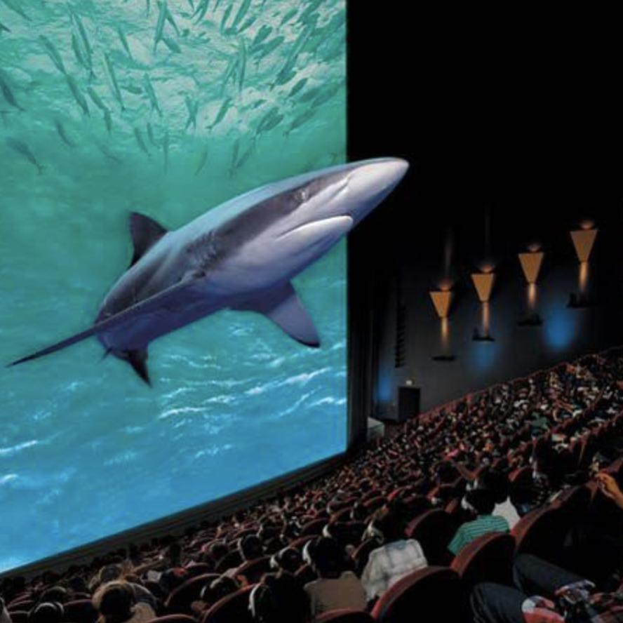 老歌迷的珍藏库 