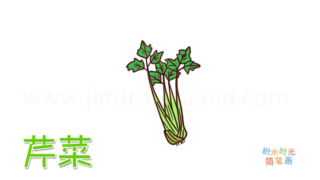 蔬菜简笔画大全,画写实的芹菜简笔画