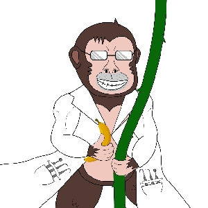 贝牙老赵 