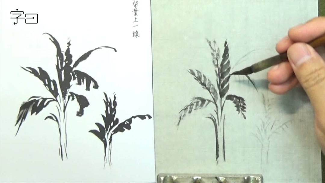 国画芥子园画谱树谱,写意芭蕉