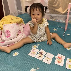 果小金 