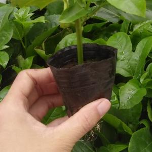 阿文甄选好物推荐 