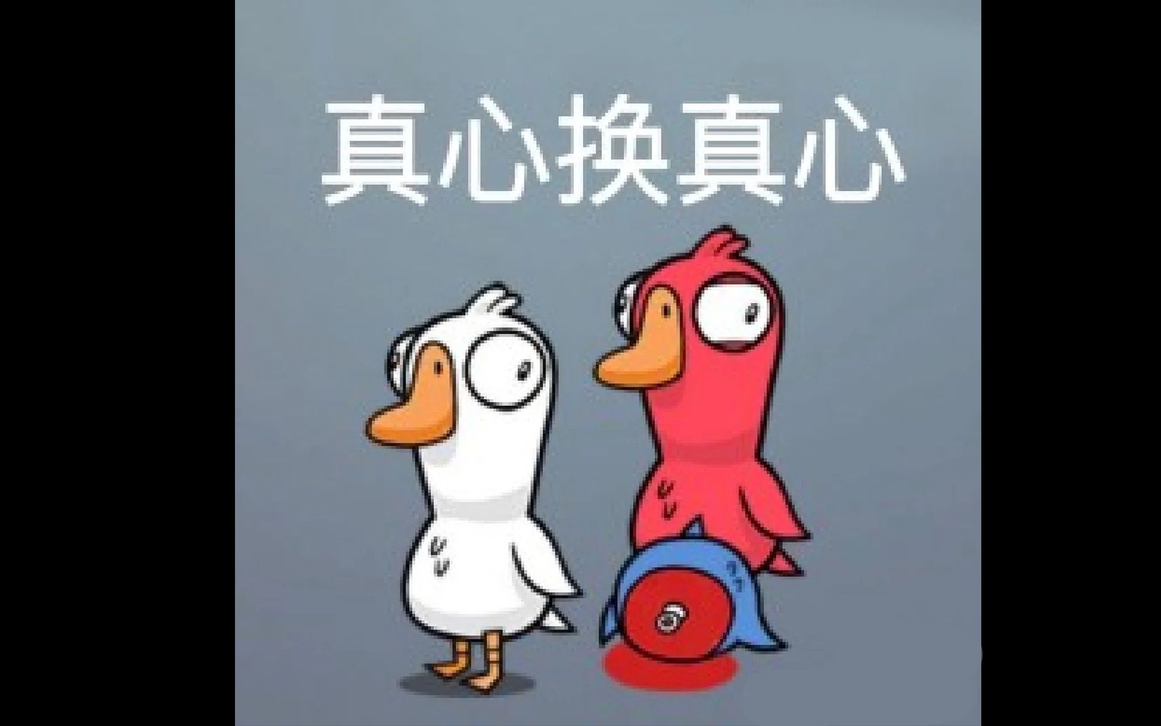 【助眠向(?】鹅鸭杀炸弹倒计时十分钟洗脑循环