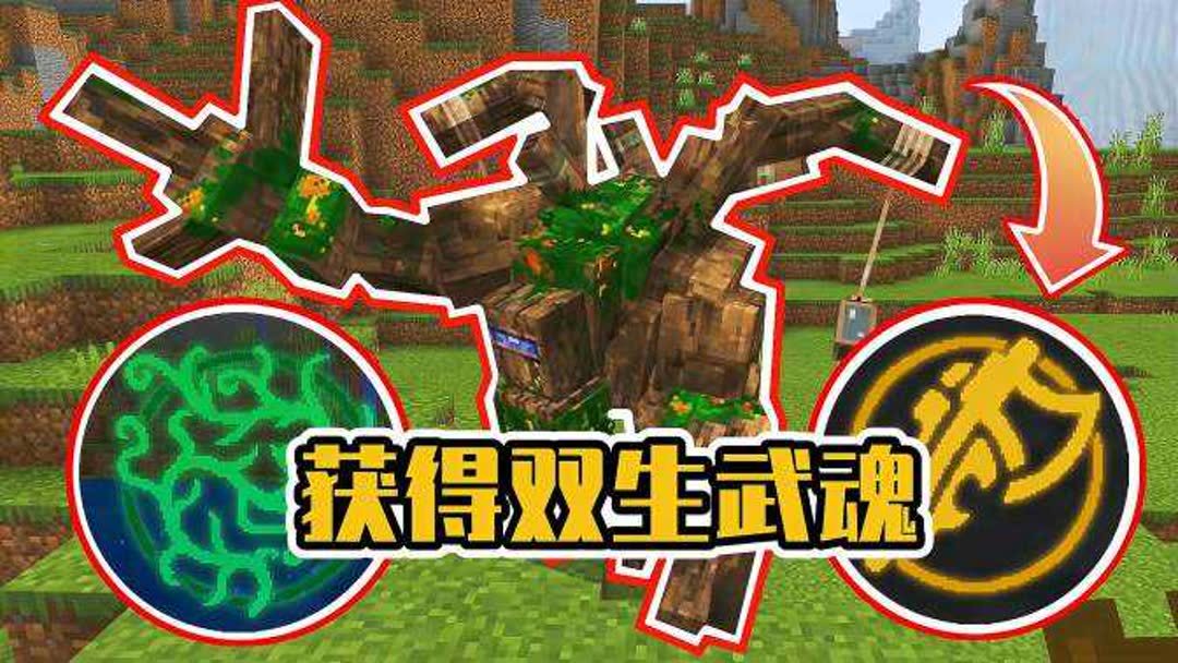 我的世界斗罗大陆1:获得双生武魂,打败50年魂兽!