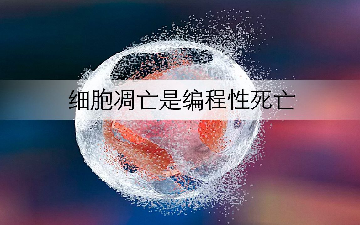 新浙科版高中生物必修一《4.3细胞凋亡是编程性死亡》