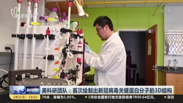 这意味什么?美国团队:首次绘制出新冠病毒关键蛋白分子3D结构