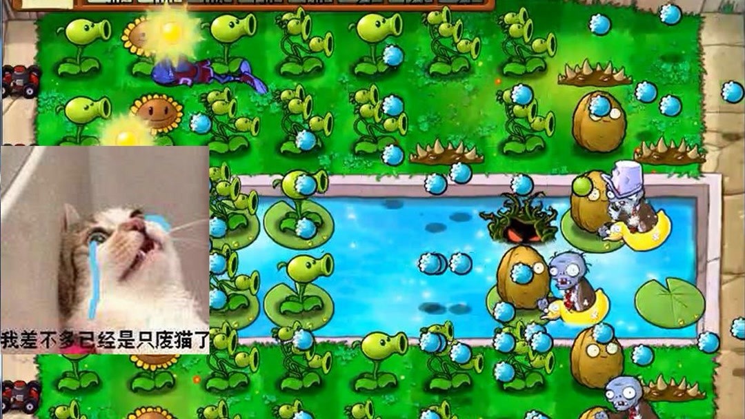   小奇解说植物大战僵尸贝塔版第十六期:太废了,开指令过关.