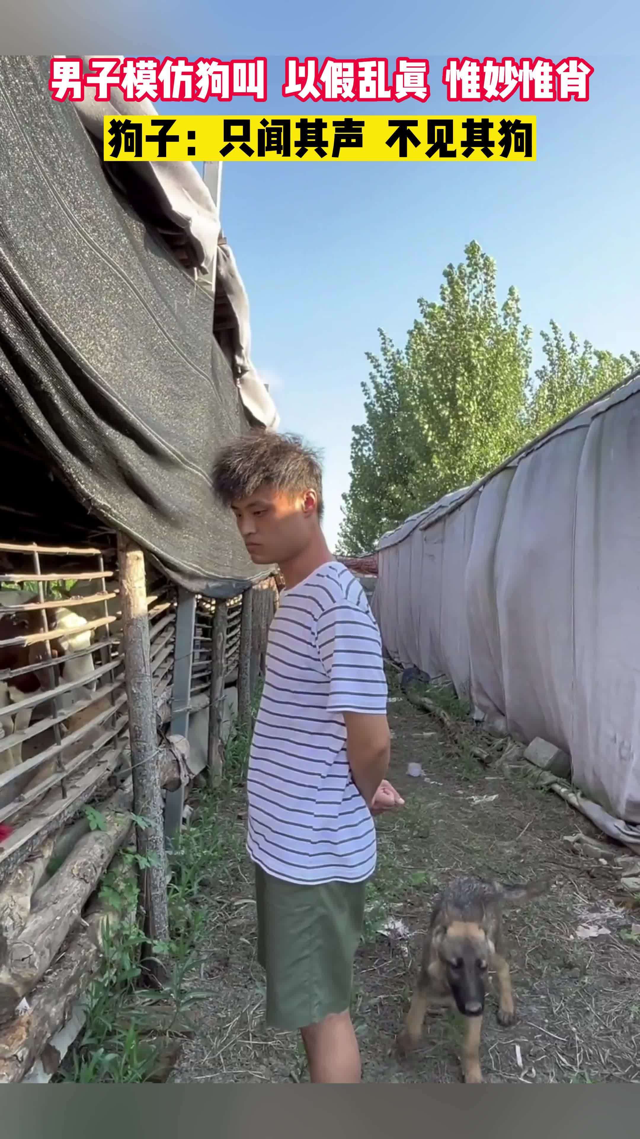 男子模仿狗叫!以假乱真,惟妙惟肖!狗子:只闻其声不见其狗