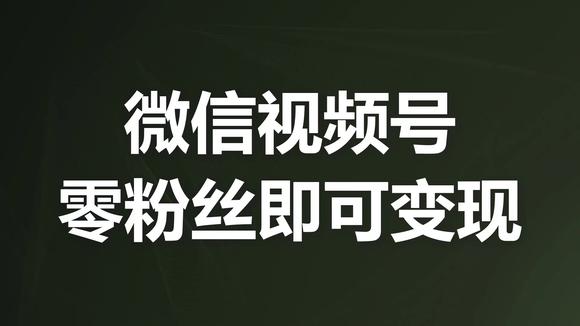 微信视频号零粉丝即可变现 转化成交率高「卢大叔005」