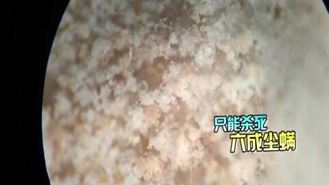 过个干净年 揭秘三大除螨方式