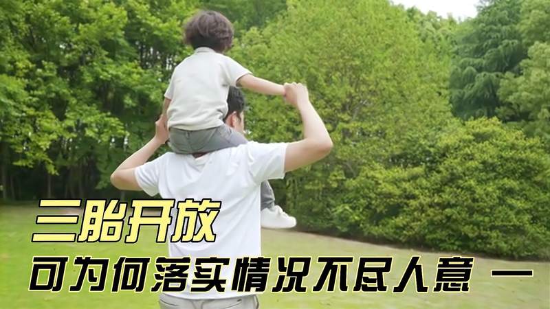 政协委员提议给三孩提供免费教育 可养娃真缺的是教育成本吗(一)