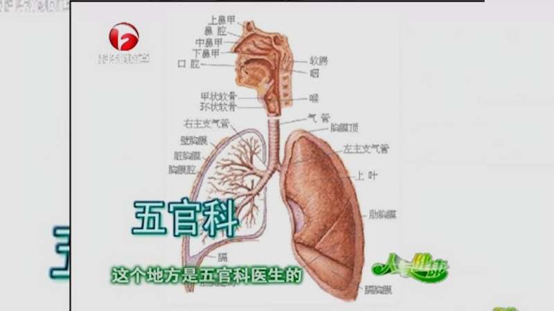 感冒引起肺炎,到底怎么回事,什么是肺炎?