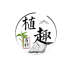 植趣百科 