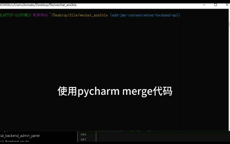 使用 pycharm 提交 merge 代码 - IT基础知识